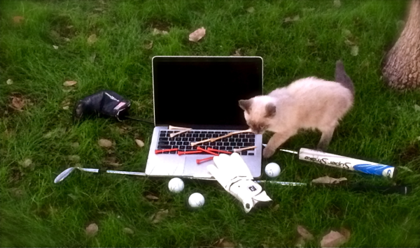 Can blogging make you a better golfer? | fairwaywords
